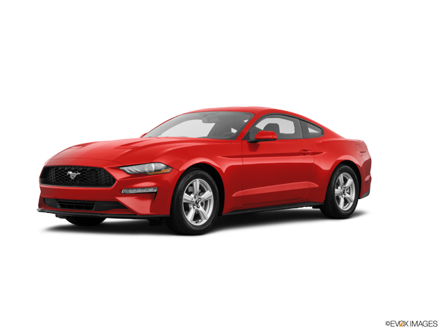 McDonald Ford Inc. is a Ford dealer selling new and used cars in ...